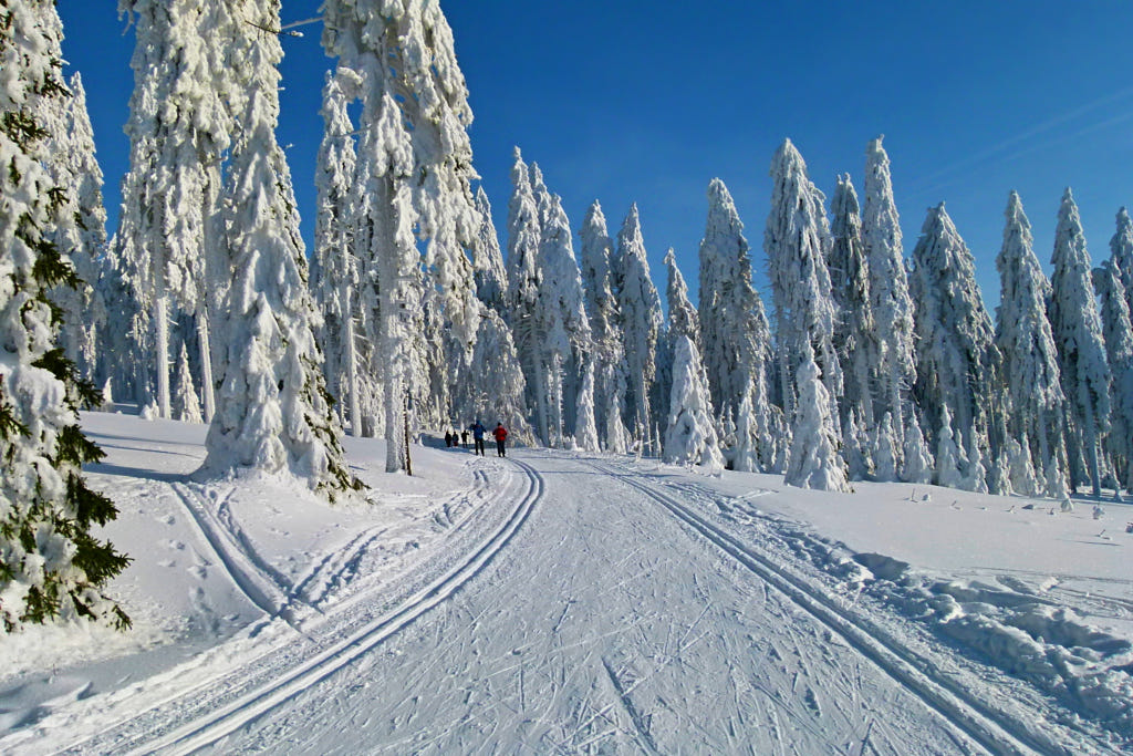* Winter themed pictures - my photos by Jarda Novák | 500px