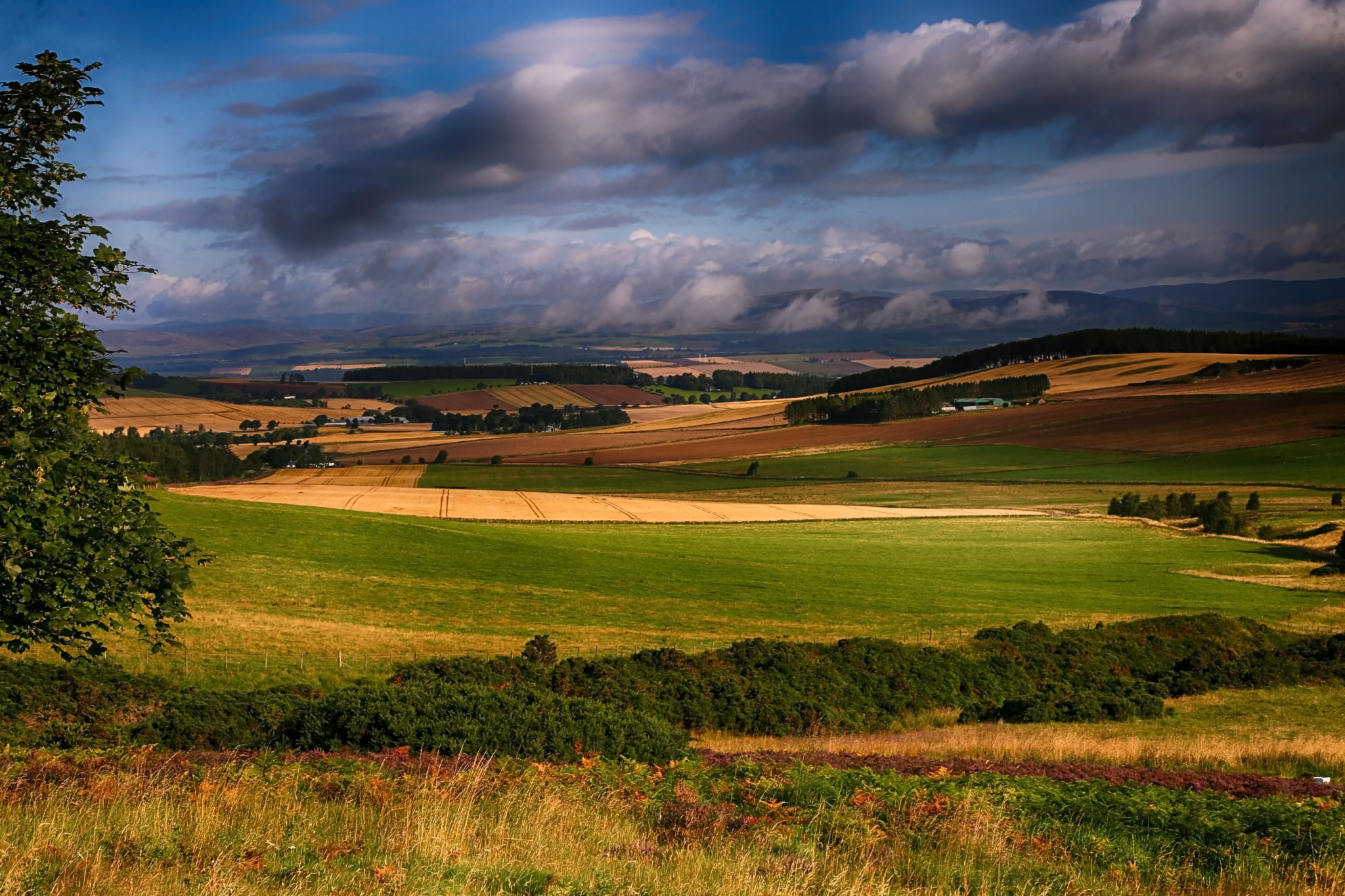 Rolling Green Hills Under Dramatic Sky Evoking Expansive Freedom ...