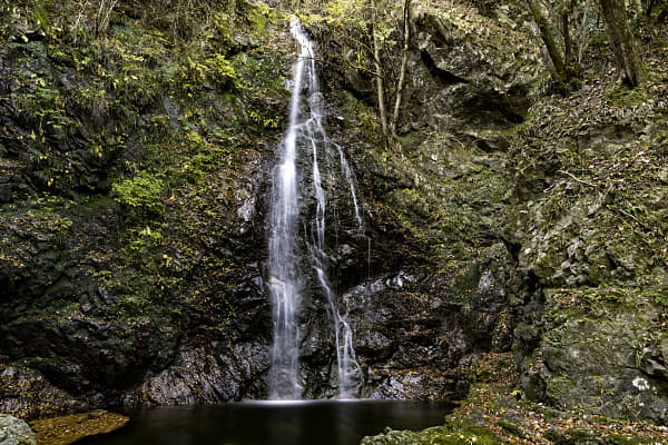 Cascading Waterfall in Lush Forest Representing Purity and Natural ...