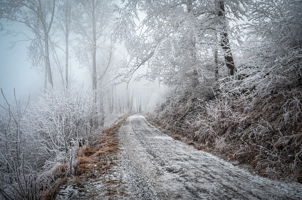 Frost-Kissed Path Through Winter Woods Evoking Solitude and Calm ...