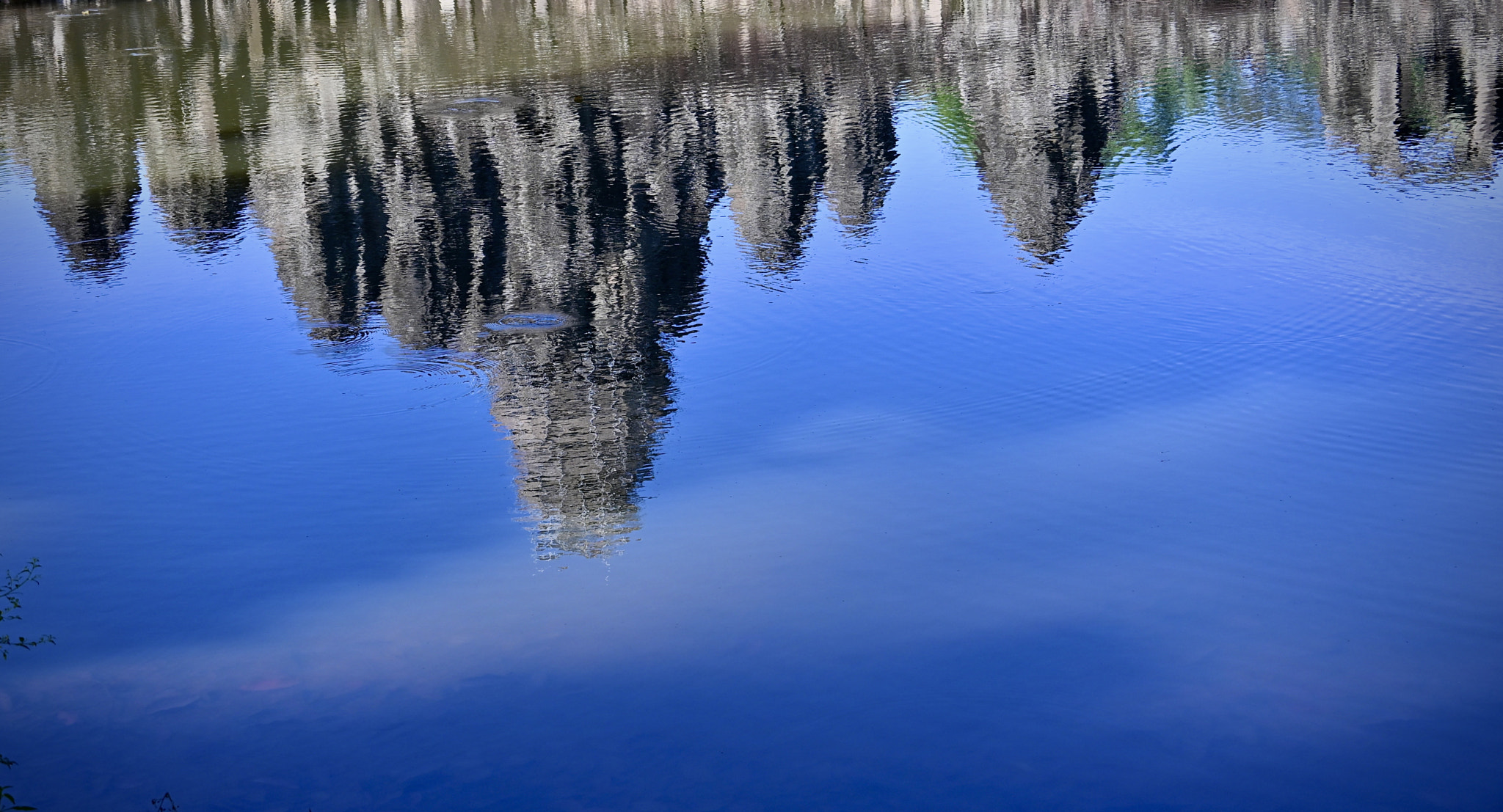 Reflection by Y Okawa | 500px