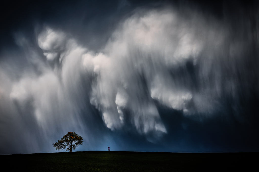 一朵黑色背景上有绿叶的白色花朵 by Butler And Miss | 500px