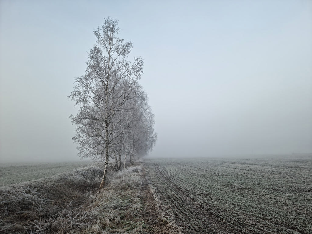 Creamy Pumpkin Drink Evoking Autumnal Refreshment and Joy | still life ...