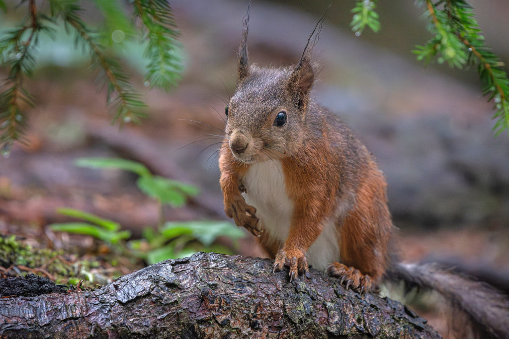 Woman Exhaling Smoke Expressing Release and Momentary Escape | people ...
