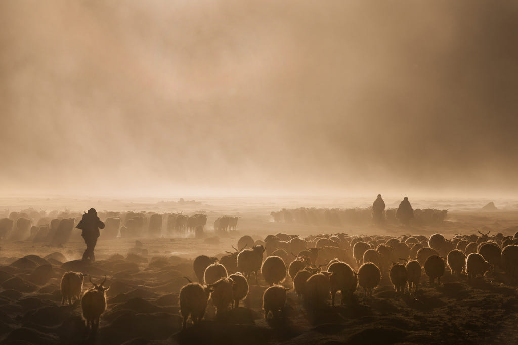 Matterhorn-Gotthard-Bahn HGE 4/4 II locomotive 106, Fiesch, 13th June ...