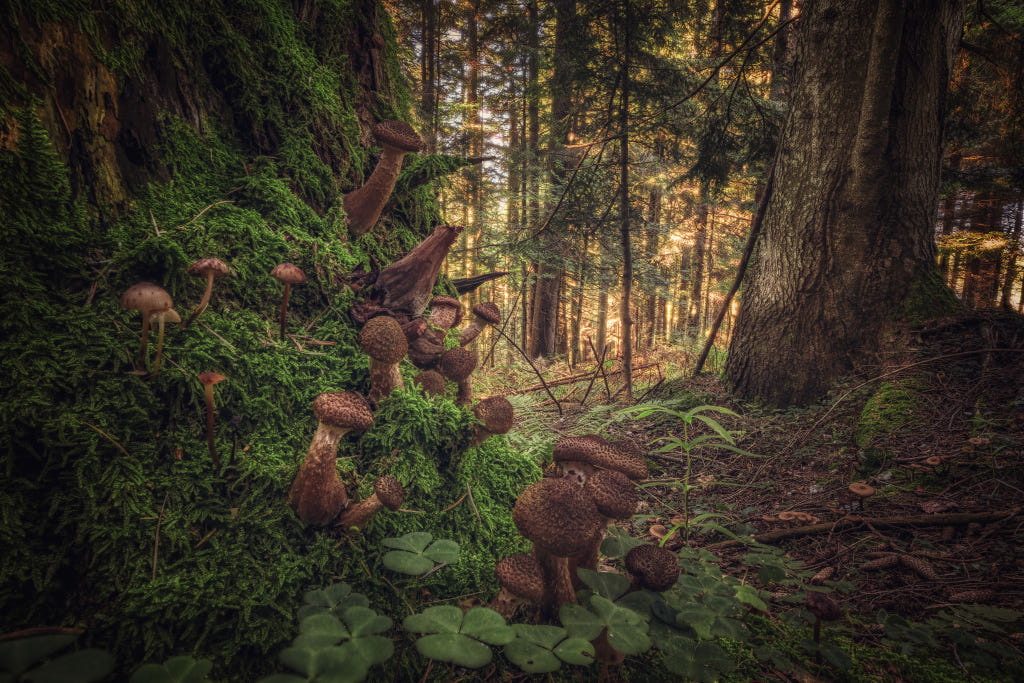 symmetry_00 by Global Warning | 500px