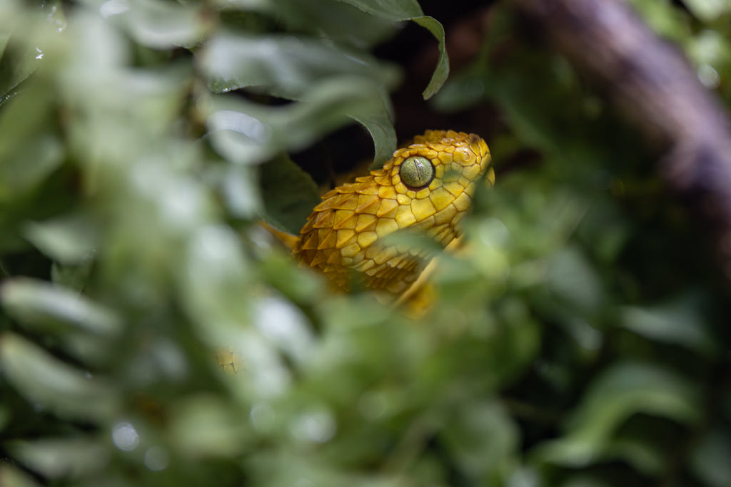 Young woman sitting on rock by sea by igor Rand | 500px
