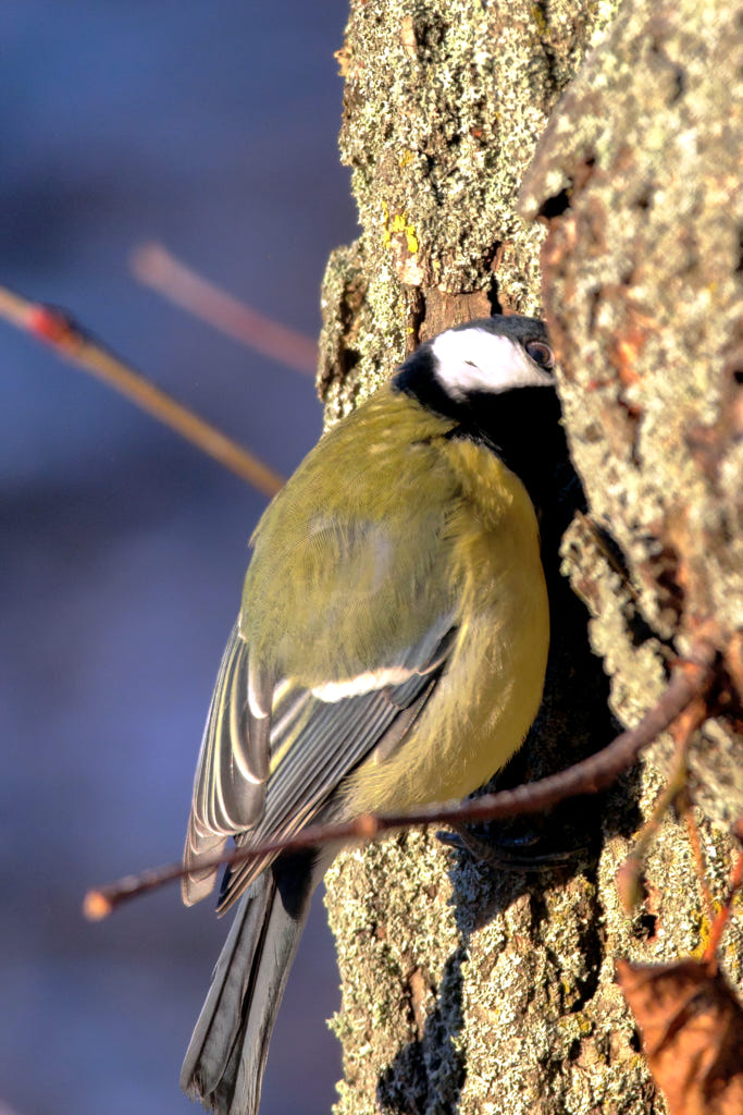 Anybody home? by V S | 500px