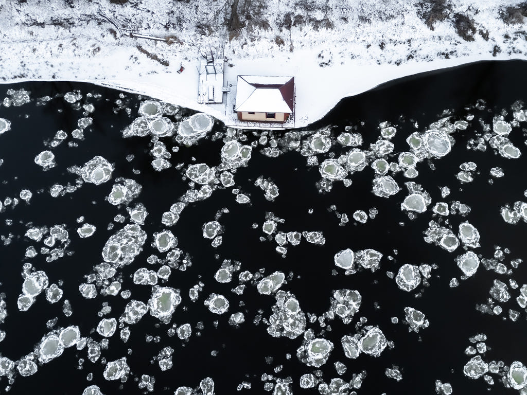 Snow Covered Forest Evokes Peaceful Solitude of Winter Wilderness ...