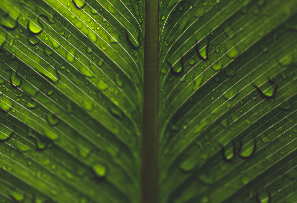 My body by Patricia Beck | 500px