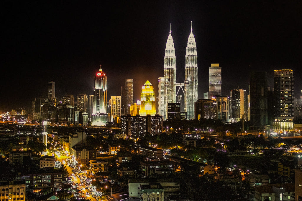 Thorny Plant Stem Revealing Resilience | nature photo by Dagmar ...