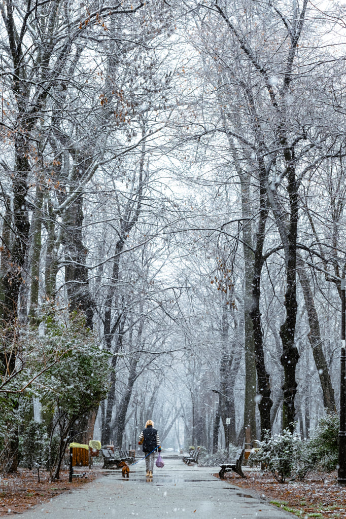 First snow by Radu Popovici | 500px