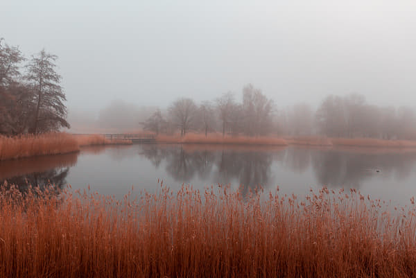 Misty mornings by Walther G. Halavin | 500px