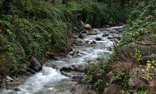 Mountain Stream Cascading Through Lush Green Forest | landscape photo ...