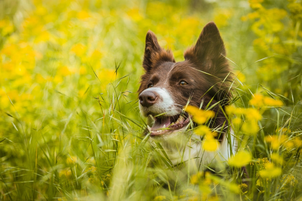 Red and shy Masha R. by Photo Boosty | 500px