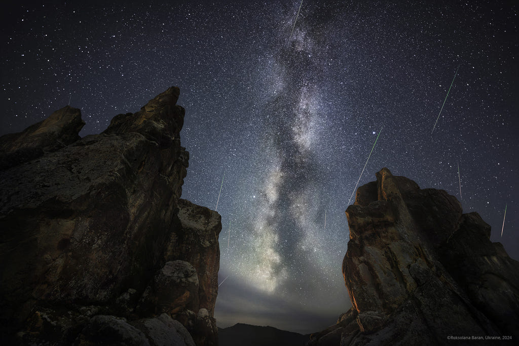 Floral Series in Color #37 by chan3145 | 500px