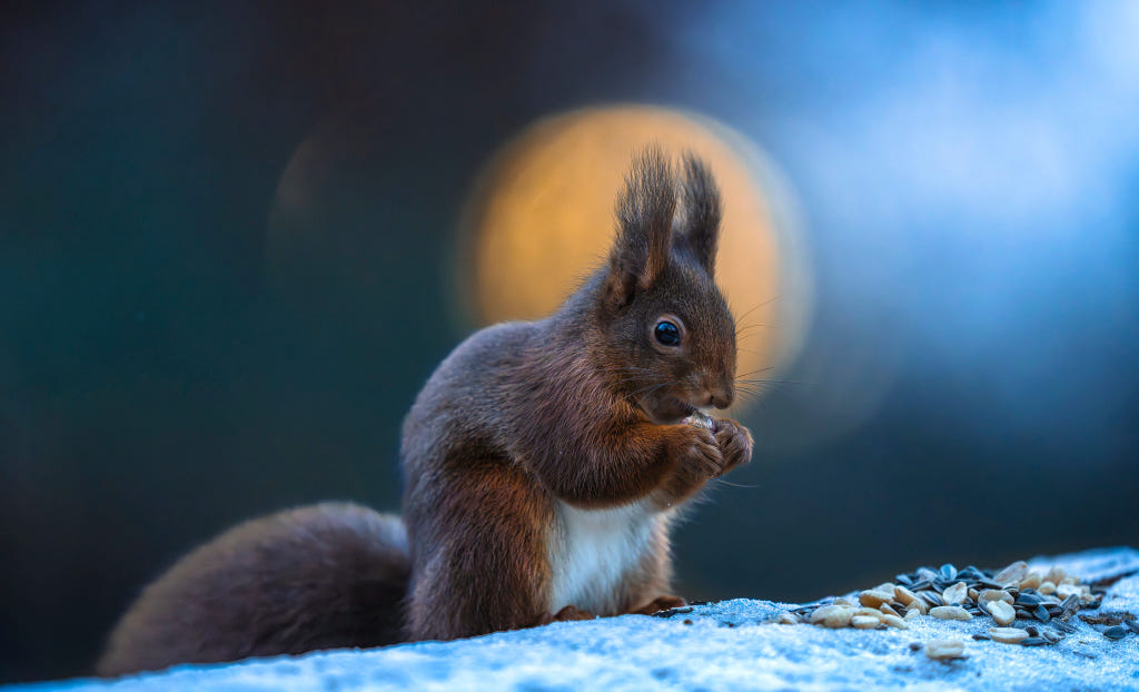 backlight (analog shot) by Carlotta &Federico Ricci | 500px
