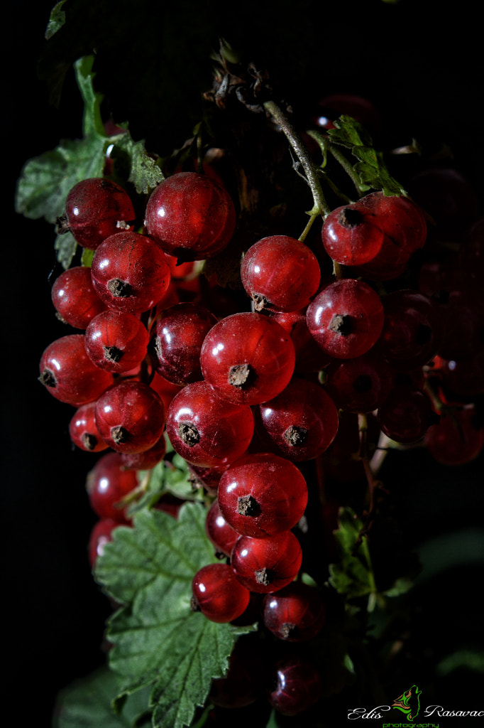 ribizla by Edis Rasavac / 500px