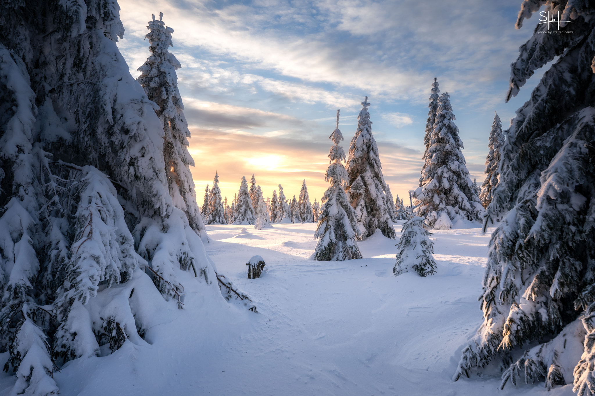 Snow Covered Forest at Sunset Evoking Winter Serenity and Peaceful ...