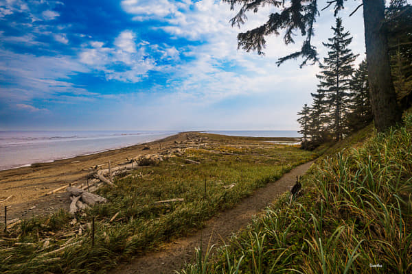 Make My Bark on the World by Swetha Gopal | 500px