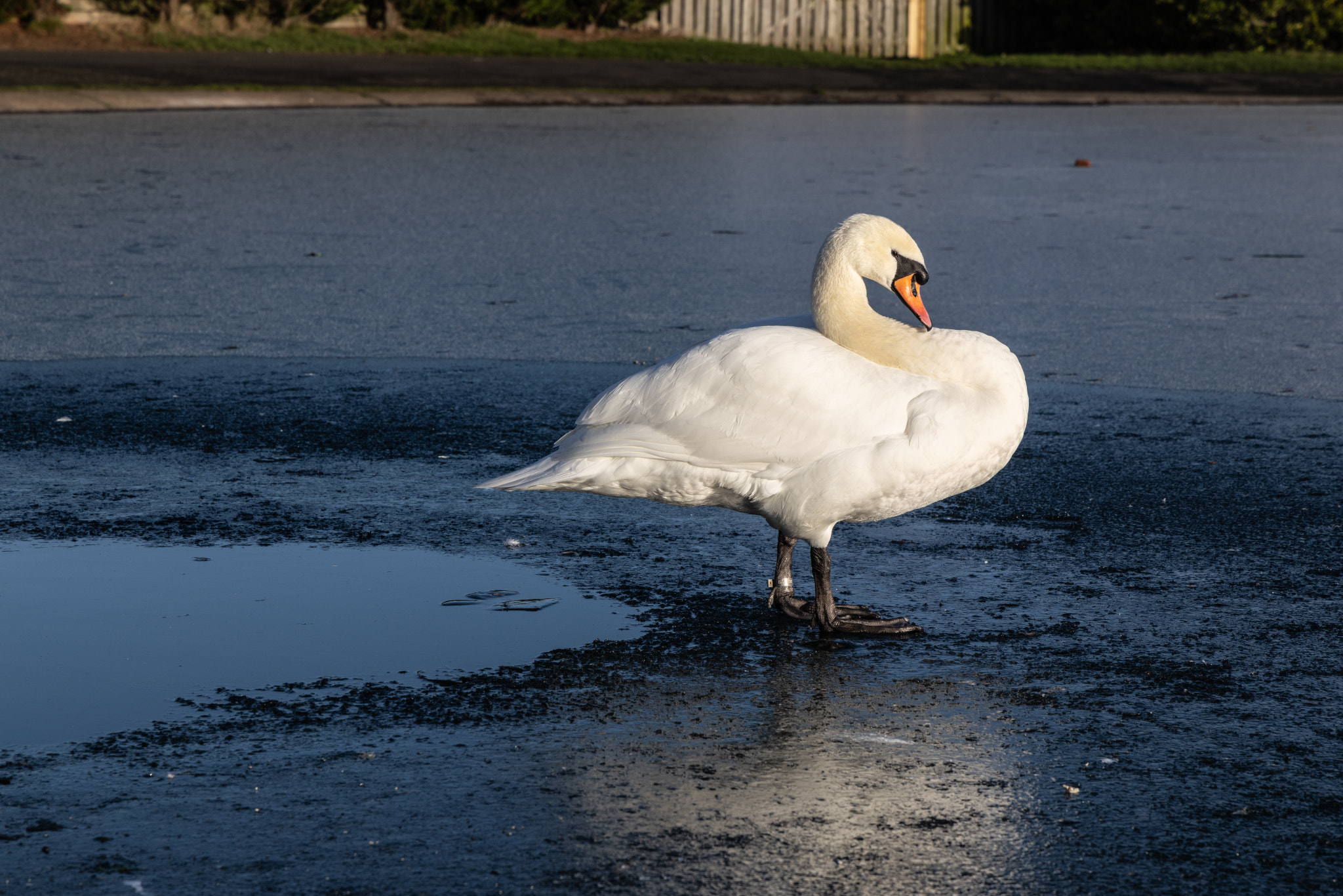 Cold Feet by Damien Talbot | 500px