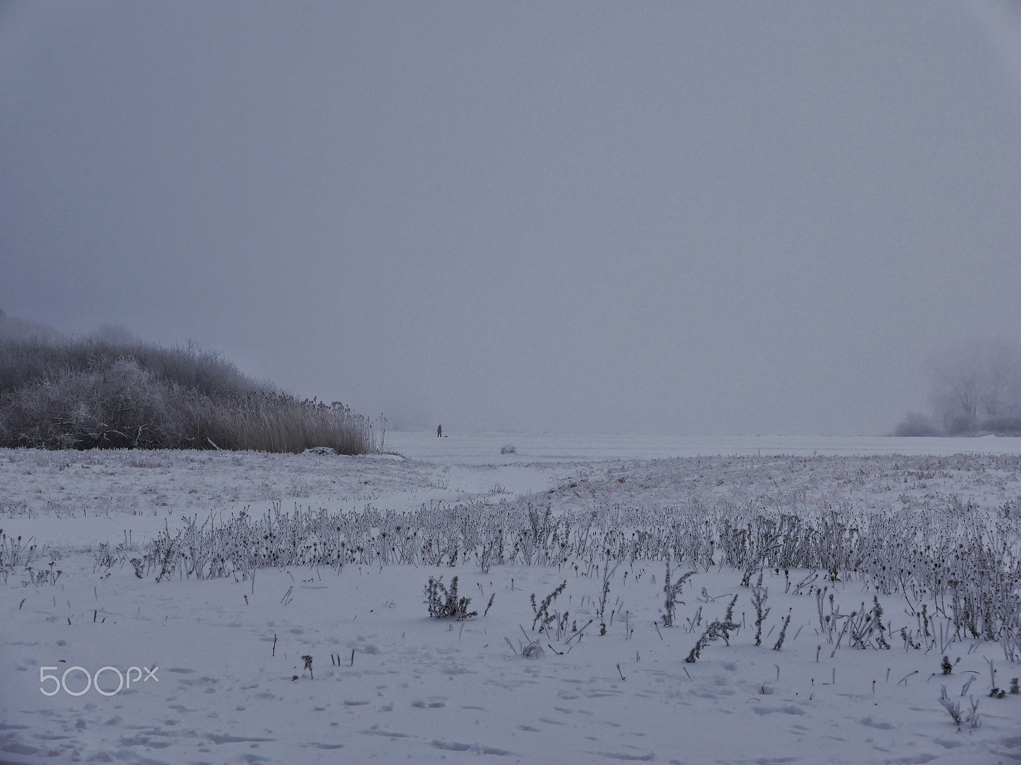 Vast Snowy Field Under Gray Sky Portraying Serene Isolation | landscape ...