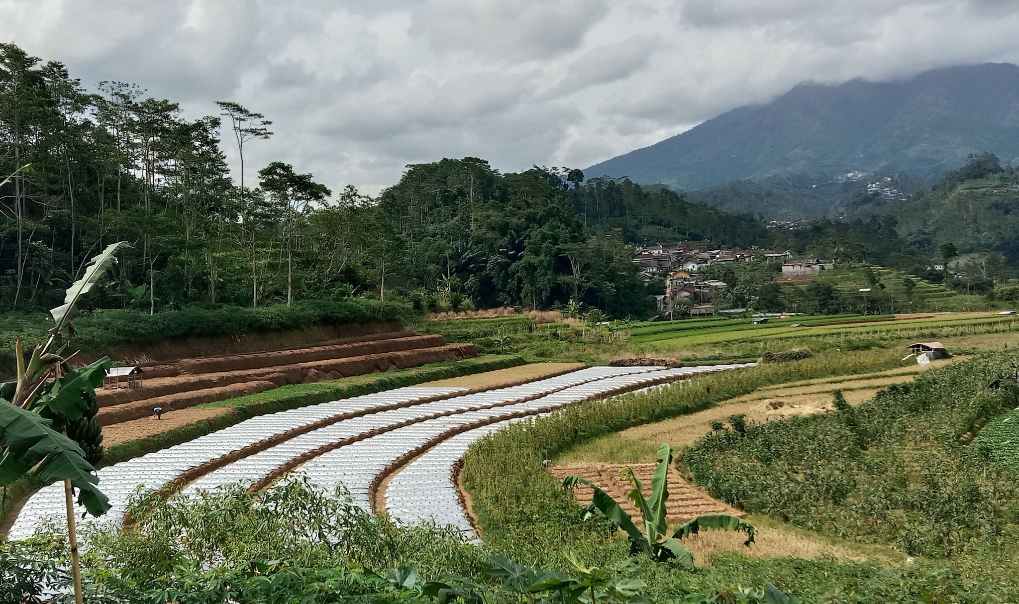 Moteng by Maju Marpaung | 500px