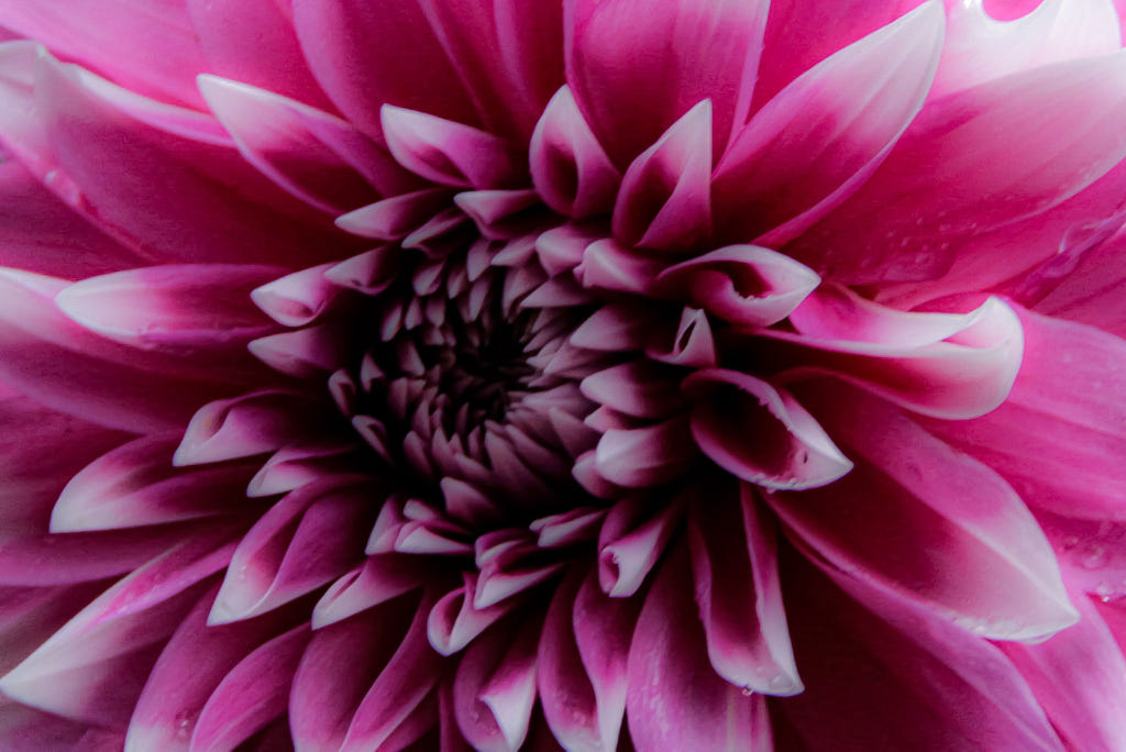 Woman Relaxing on a Leather Couch | people photo by Céline Mada | 500px