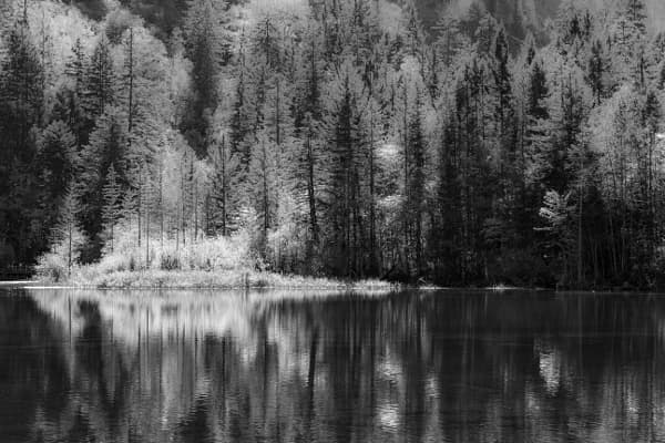 Jiuzhai Valley Forest by Ming Cheng | 500px