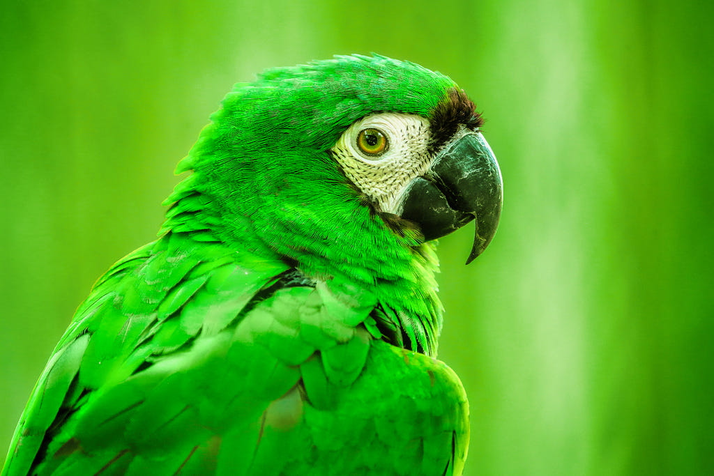 Woman in Shadow Evoking Introspection and Hidden Depths | people photo ...