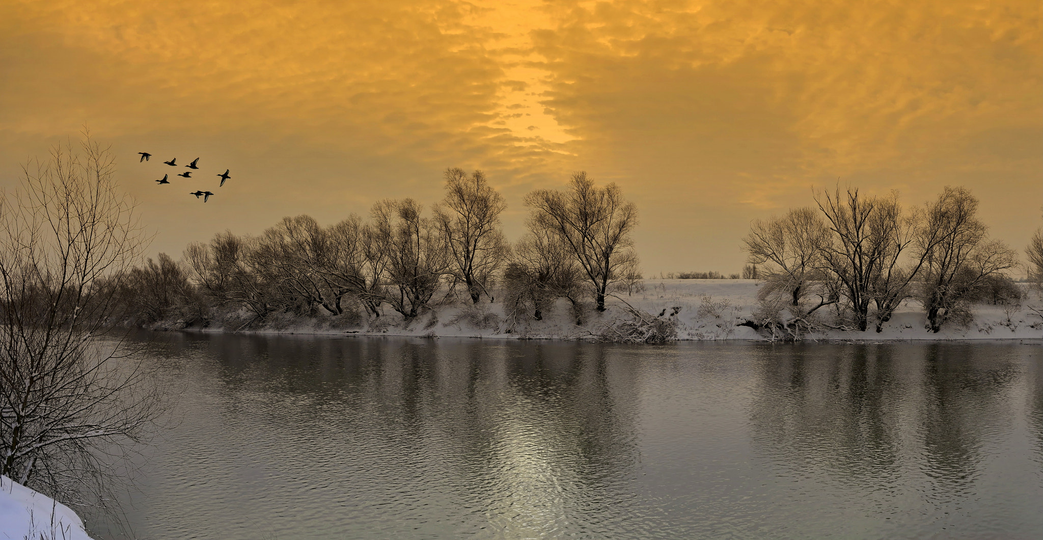 Winter Landscape Reflects Tranquility and Natural Beauty | landscape ...