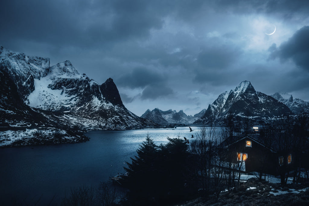 Foggy forest, 22-12-2016 (#1), bw by Vladimir Domashko | 500px