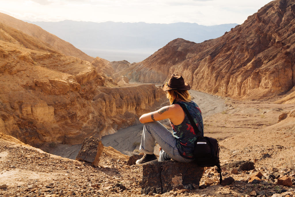 Paper calendar 2025 and succulent on the table. Beginning of a new year ...