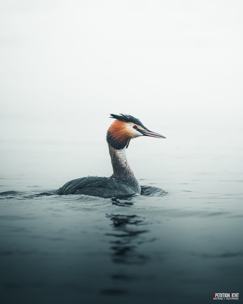 Sia by Fred_Photographe | 500px