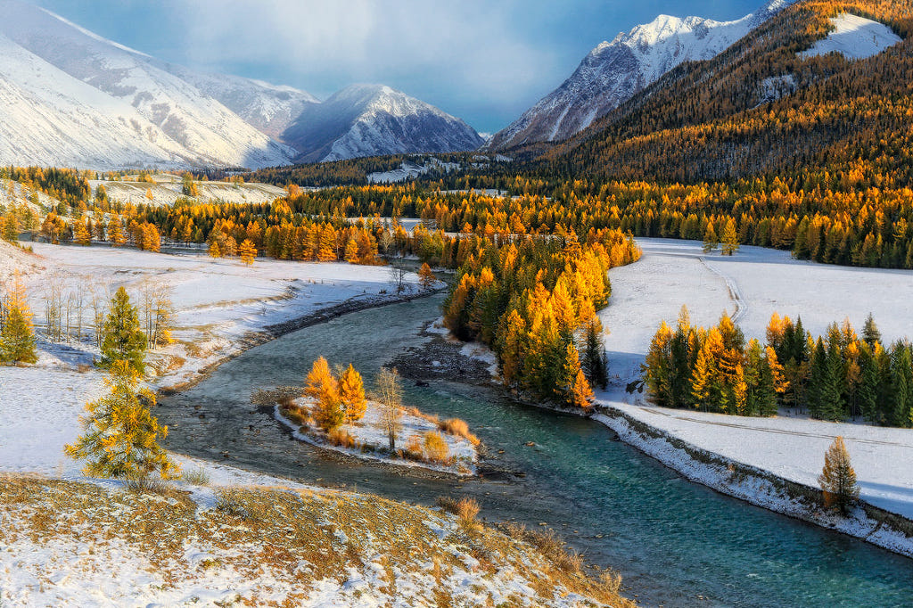 Woman in Shadow Evoking Intensity and Self-Possession | people photo by ...