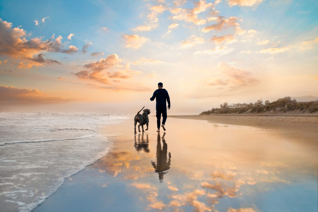 Vast Sky Evoking Freedom and Boundless Possibilities | landscape photo ...