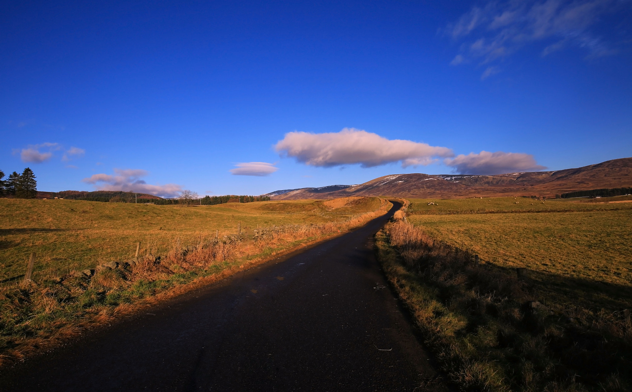 Road Through Golden Fields Leading to Horizon | landscape photo by ...
