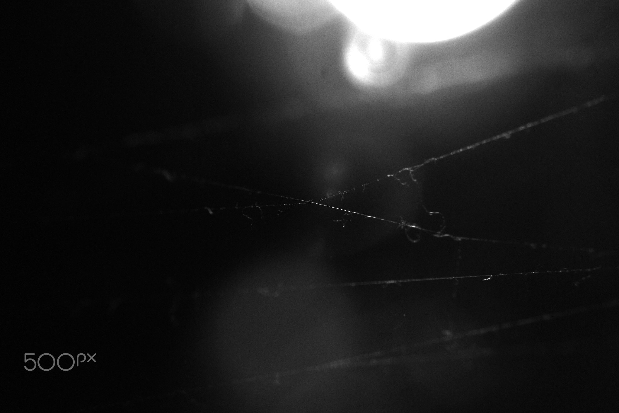 Criscross by Gavin Watson | 500px