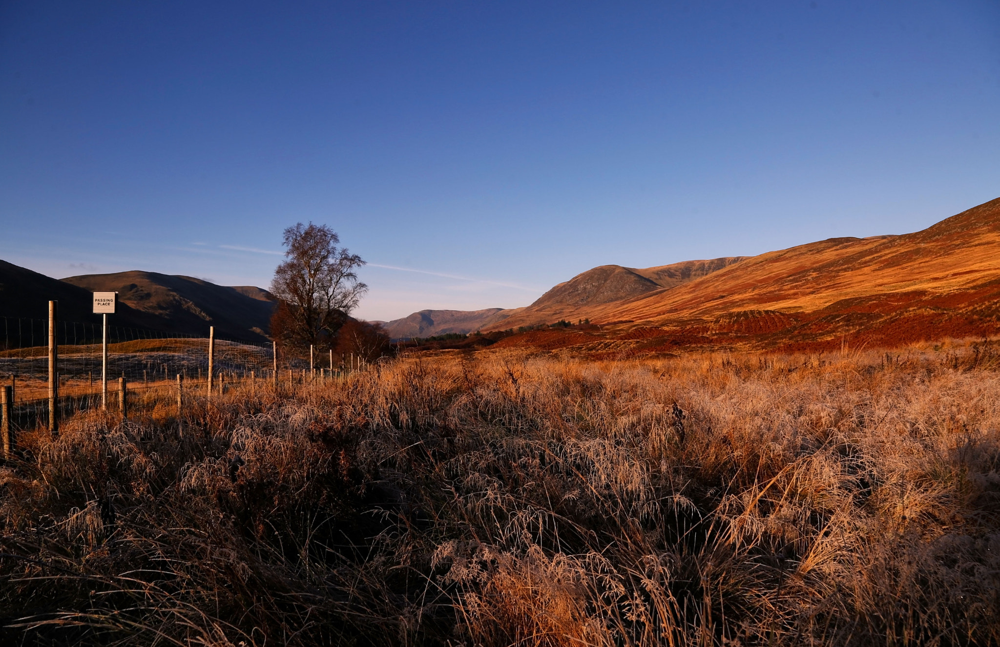 Vast Autumn Landscape Portraying Solitude and Natural Beauty ...