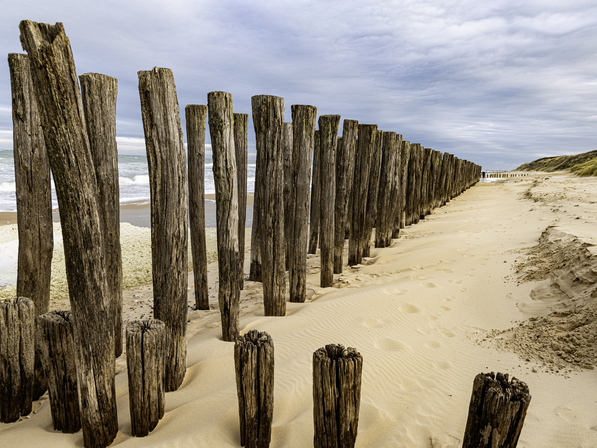 Weathered Wooden Posts Defining Coastal Resilience and Enduring ...