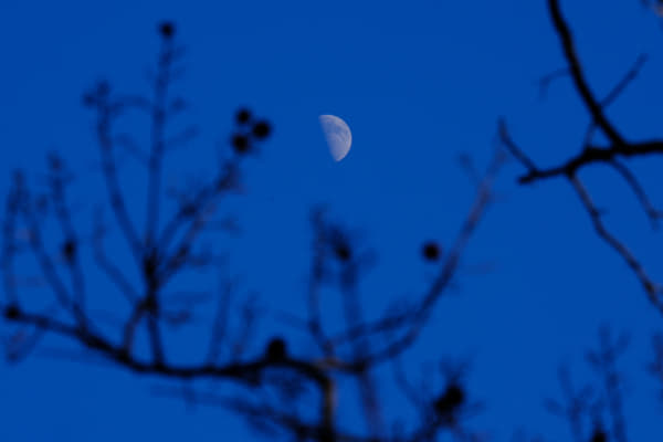 Half moon in the winter sky by Youichi Araki | 500px