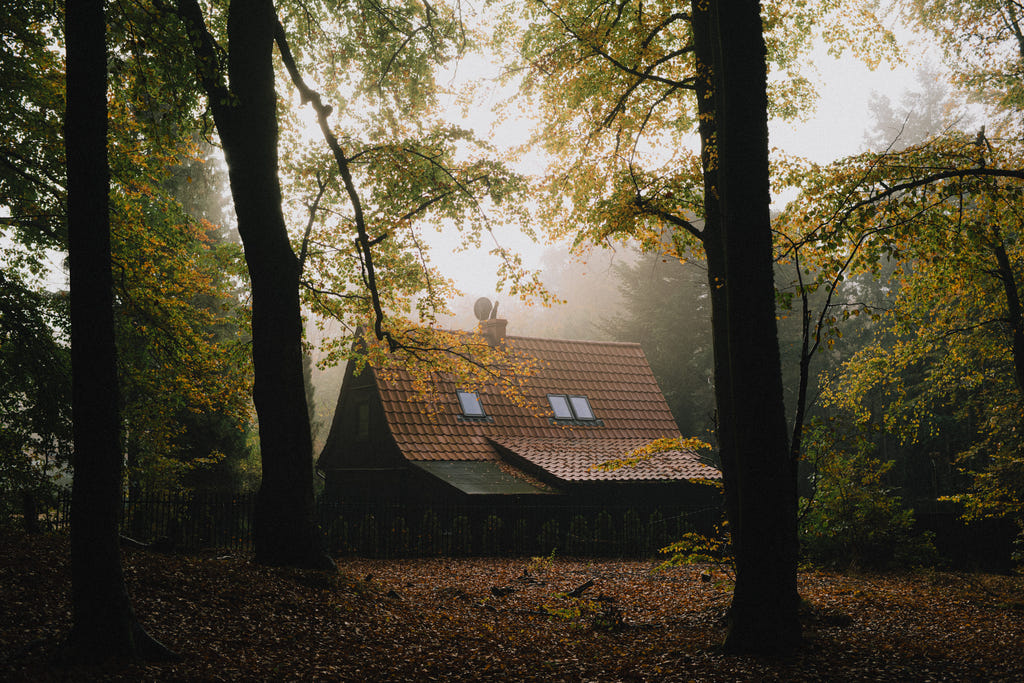 Portrait by Stanislav Janů | 500px