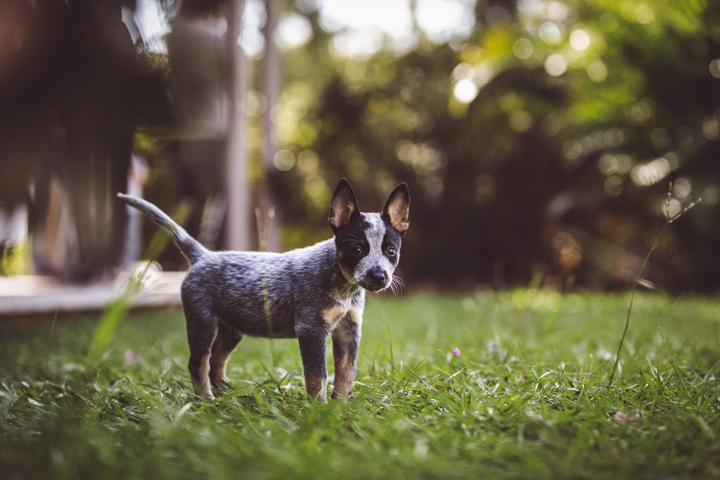 Ellen by Brian Willacy | 500px