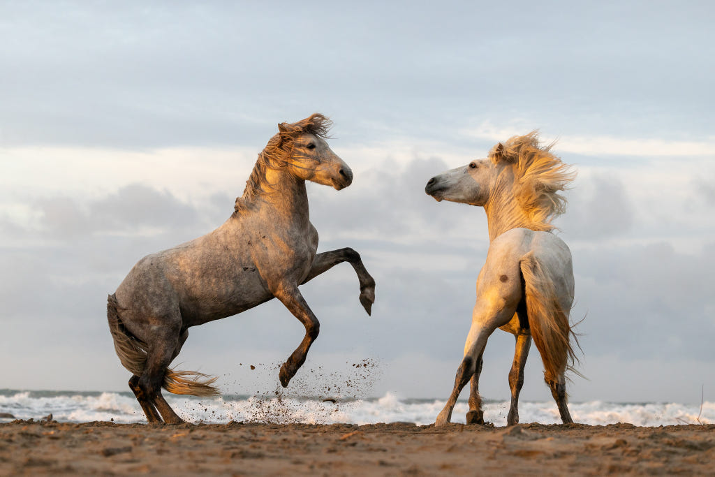 Lady Bess by Markus Model | 500px