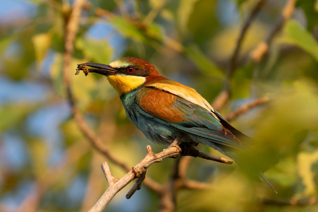 my wet skin by Patricia Beck | 500px