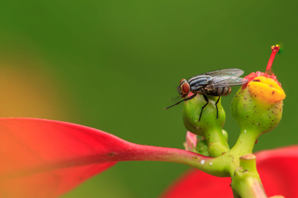 Woman Posing in Chair Expressing Vulnerability and Self-Acceptance ...