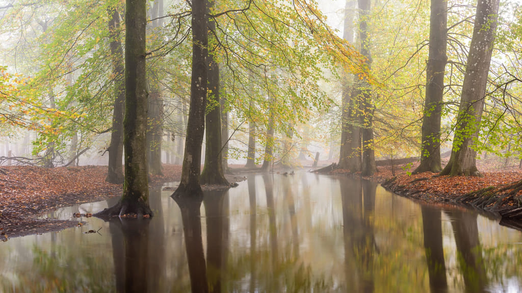 Monochrome Portrait of a Woman Leaning on a Railing | people photo by ...