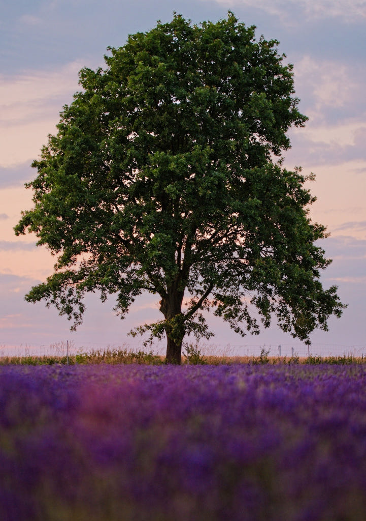 Woman Embraces Vulnerability Revealing Raw Emotion and Inner Strength ...