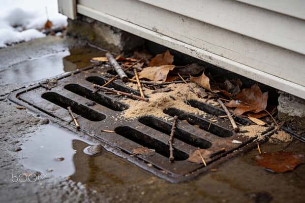 Clogged storm drain with leaves, sand, and debris near a house ...