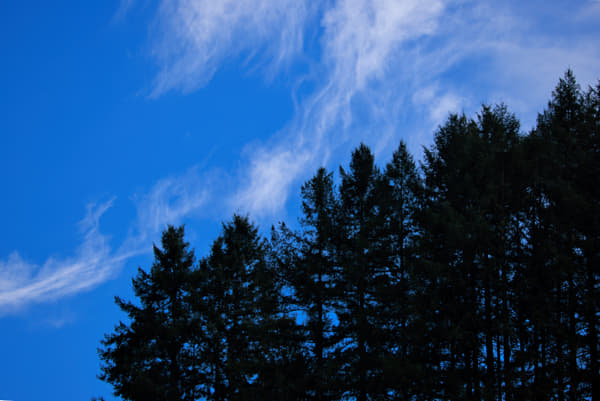 Vast Sky Evoking Freedom and Boundless Possibilities | landscape photo ...